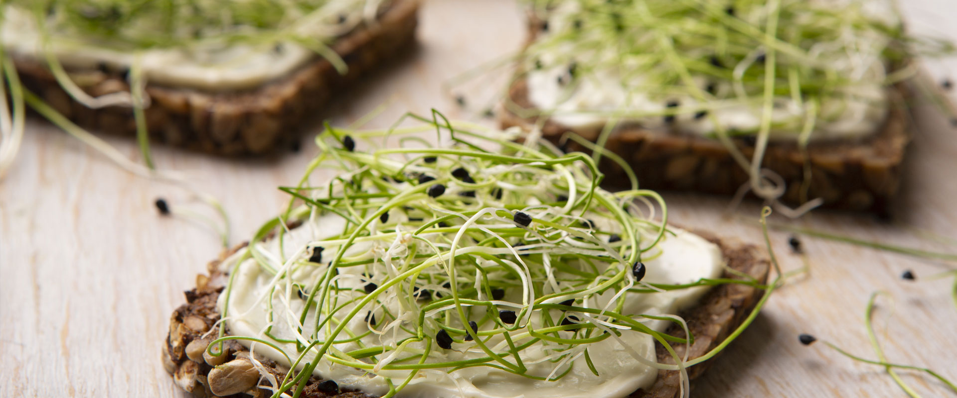 Scallions Microgreens, Order Scallions Microgreens Online