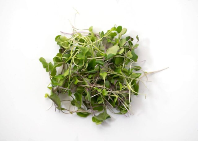 Radish Microgreens, Order Radish Microgreens Online